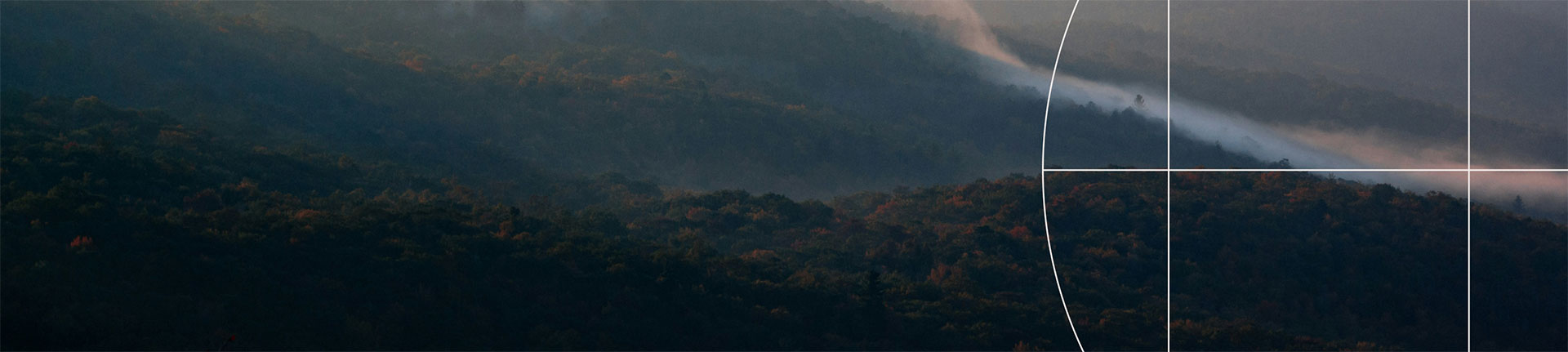 About the Grand Challenge - AI for Climate and Nature Grand Challenge